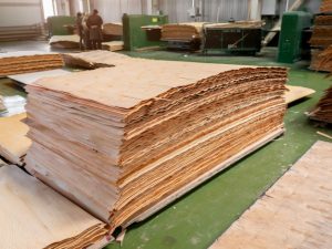 Tipos de compensado: saiba quais são e como utilizá-los! | Blog da Leo